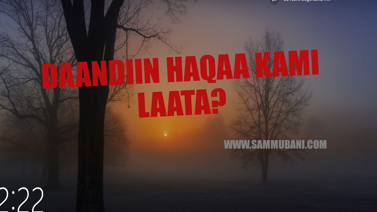 Daandiin Haqaa kami laata?-kutaa 1ffaa - Ibsaa Jireenyaa